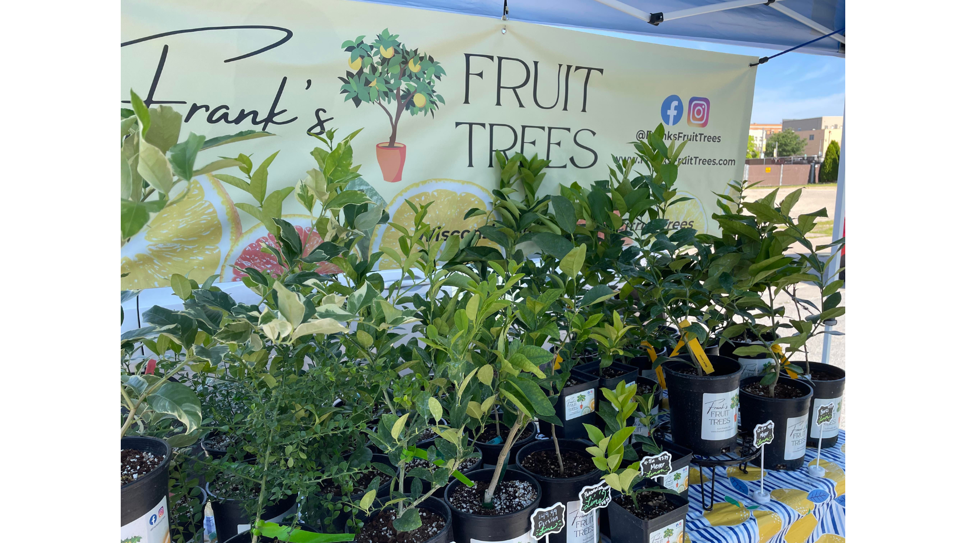 About Us – Frank's Fruit Trees