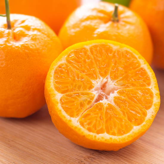 Dwarf Brown Select Satsuma Mandarin Potted Tree – Frank's Fruit Trees