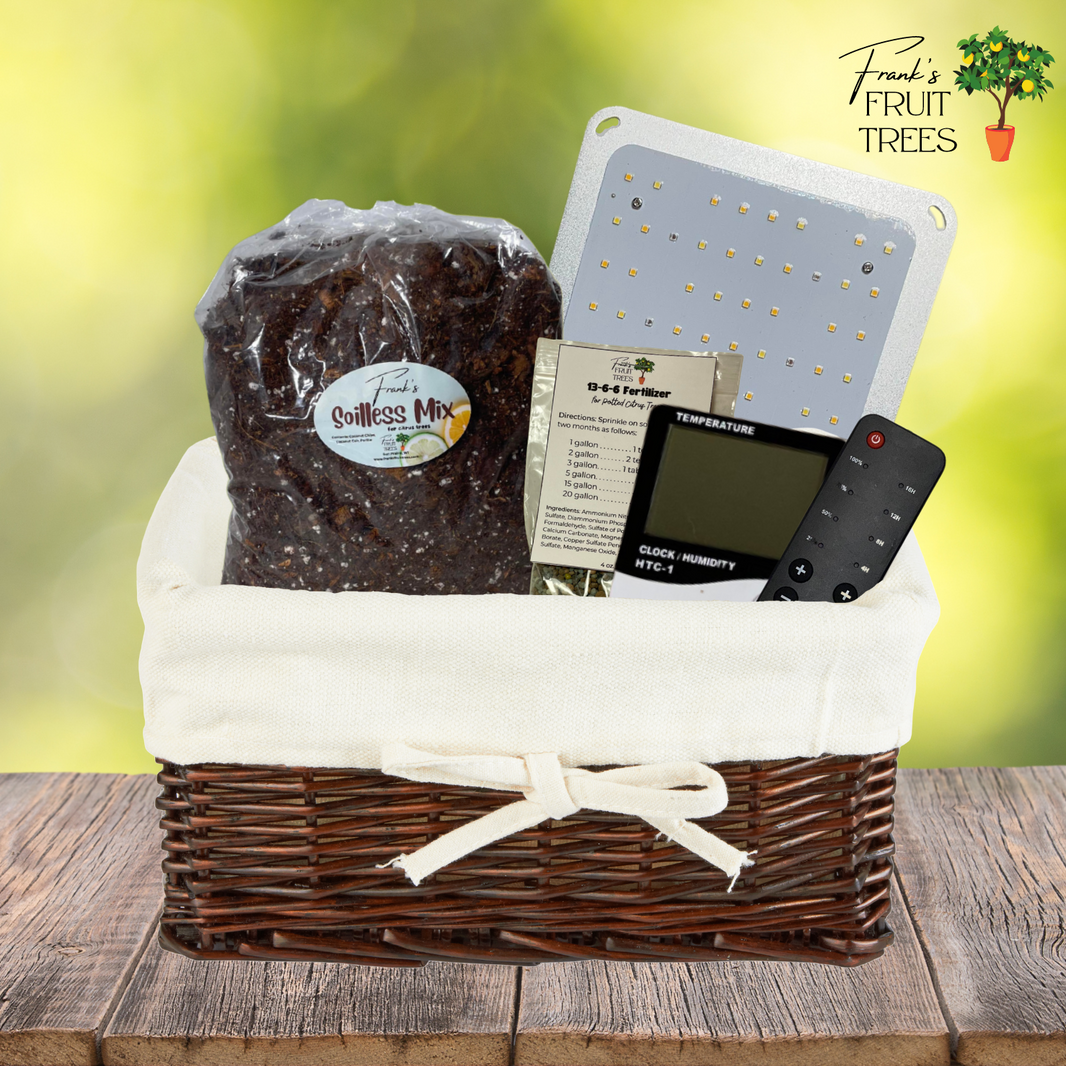 All Products – Frank's Fruit Trees